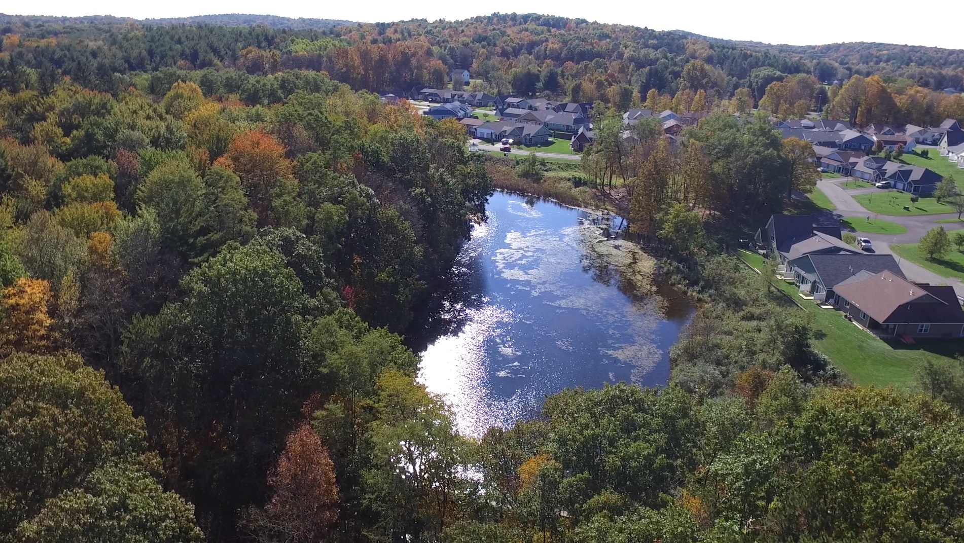 LiveWell Group – Family Owned. Value Driven.